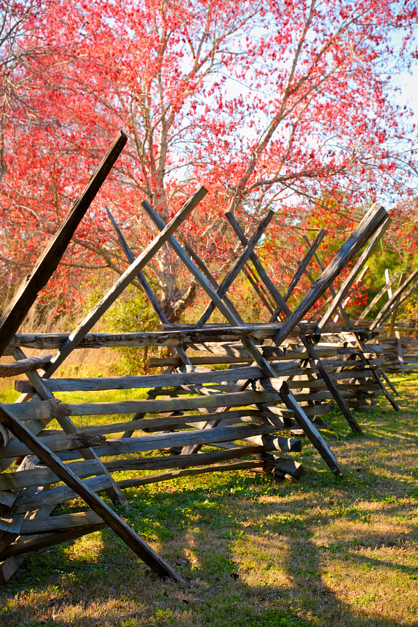 Doug's Photo Blog: Early Spring at Charles Towne