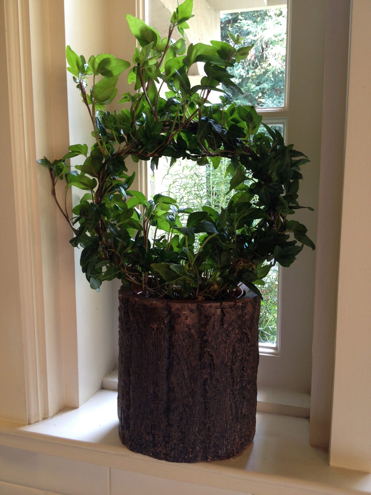 vignette design: All Spruced Up!