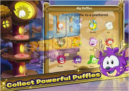 my blog: información de PUFFLE WILD