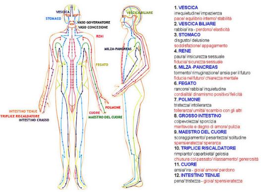 NaturOlisticaMente : I CHAKRA: anche la Medicina Energetica ne conferma ...