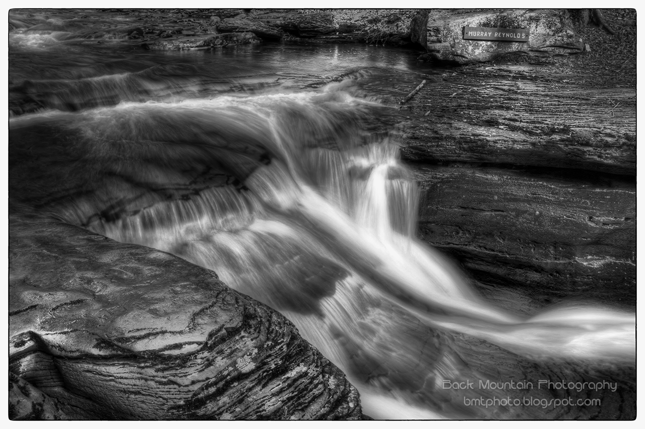 Back Mountain Photography