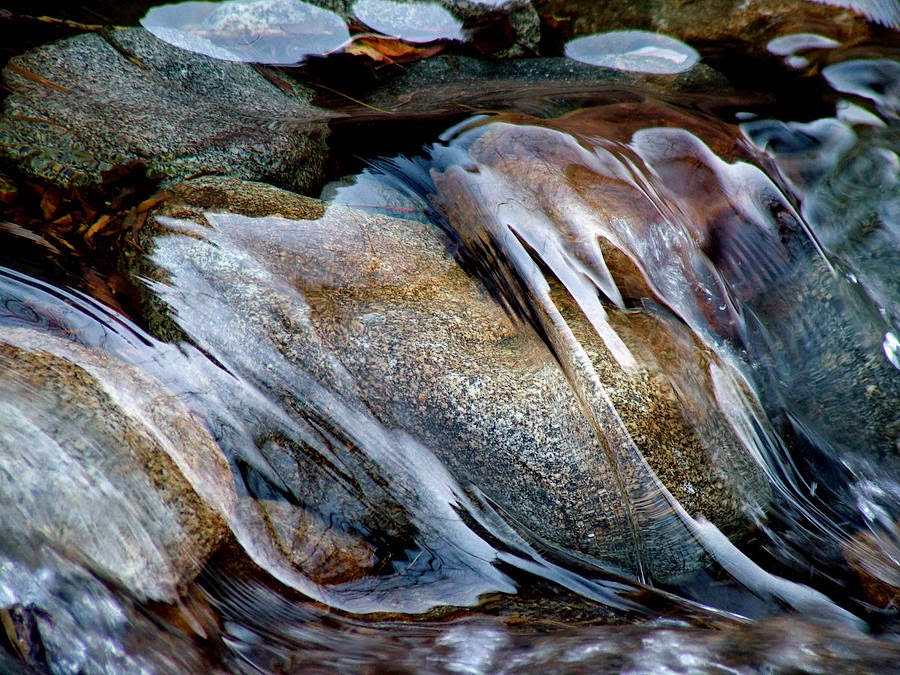 'Being There' - Garden Wisdom for the Ages