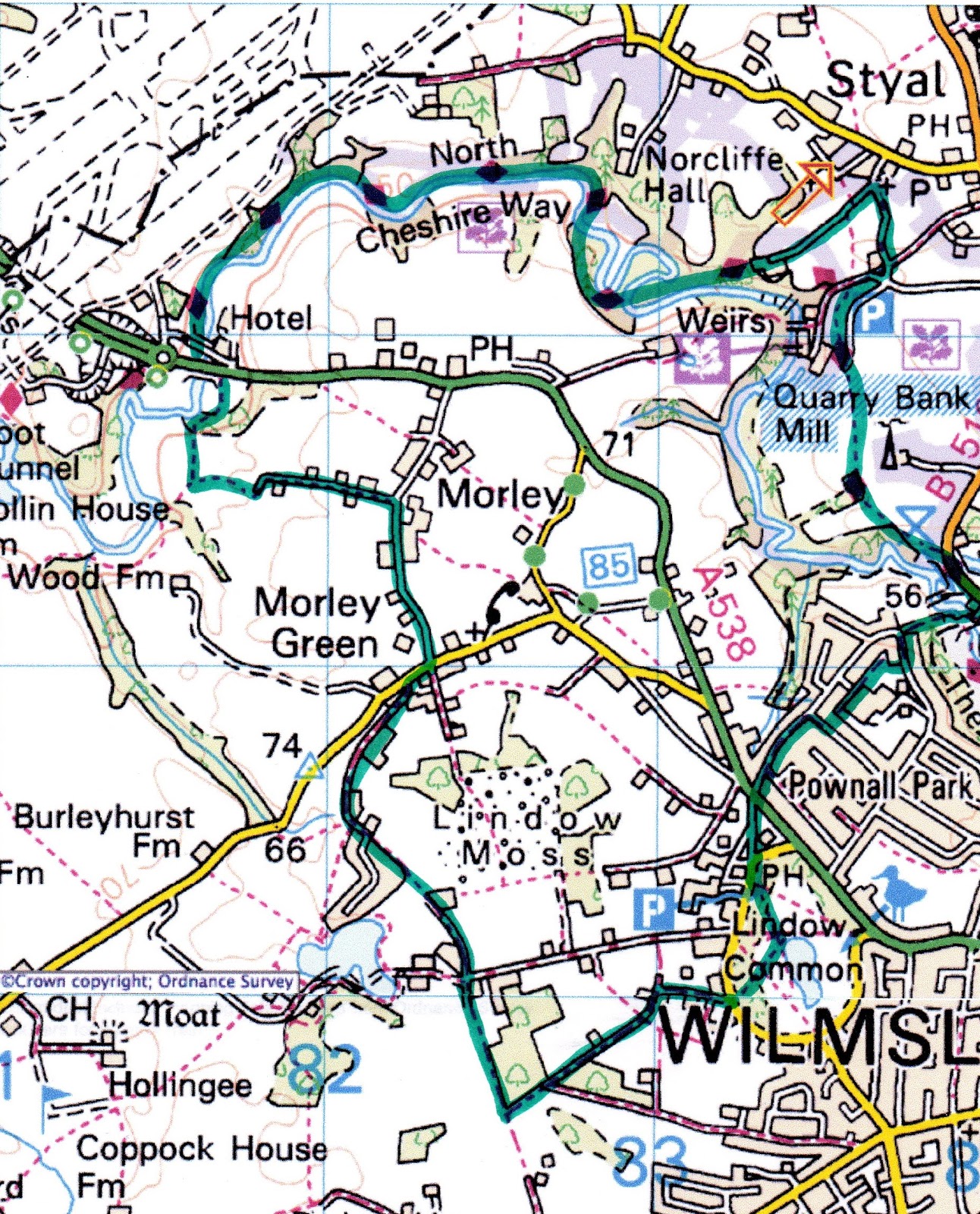 The Greenman: Protest Walks #1: Wild Garlic at Manchester Airport