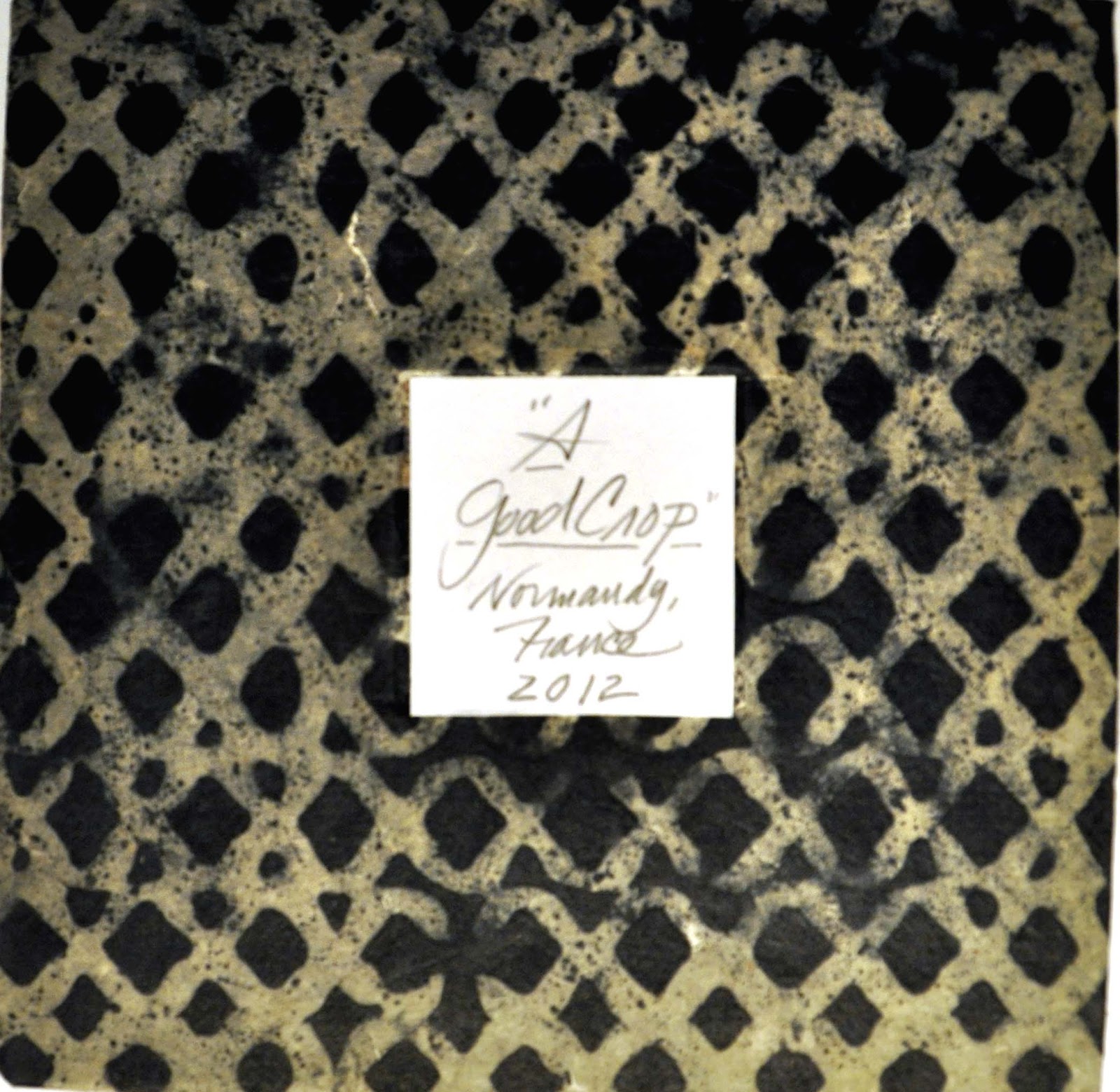 A Photographic Sage: The Folded Scroll Photography Book...