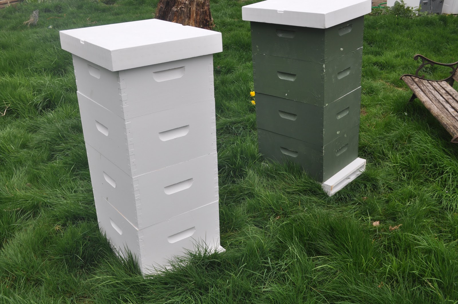 meat: Do green bee hives get warmer than white?
