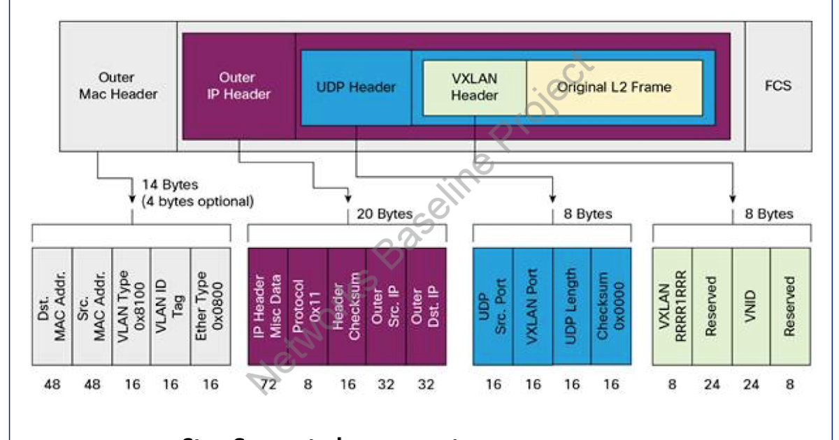 Route XP Private Network Services: VXLAN Encapsulation and Packet Format