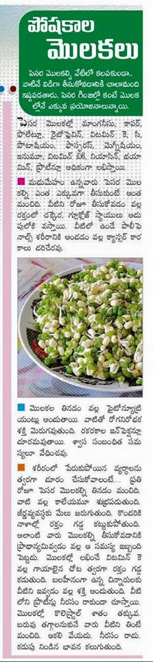 TELUGU WEB WORLD: POSHAKALA MOLAKALU - HEALTH BENEFITS WITH GROWING ...