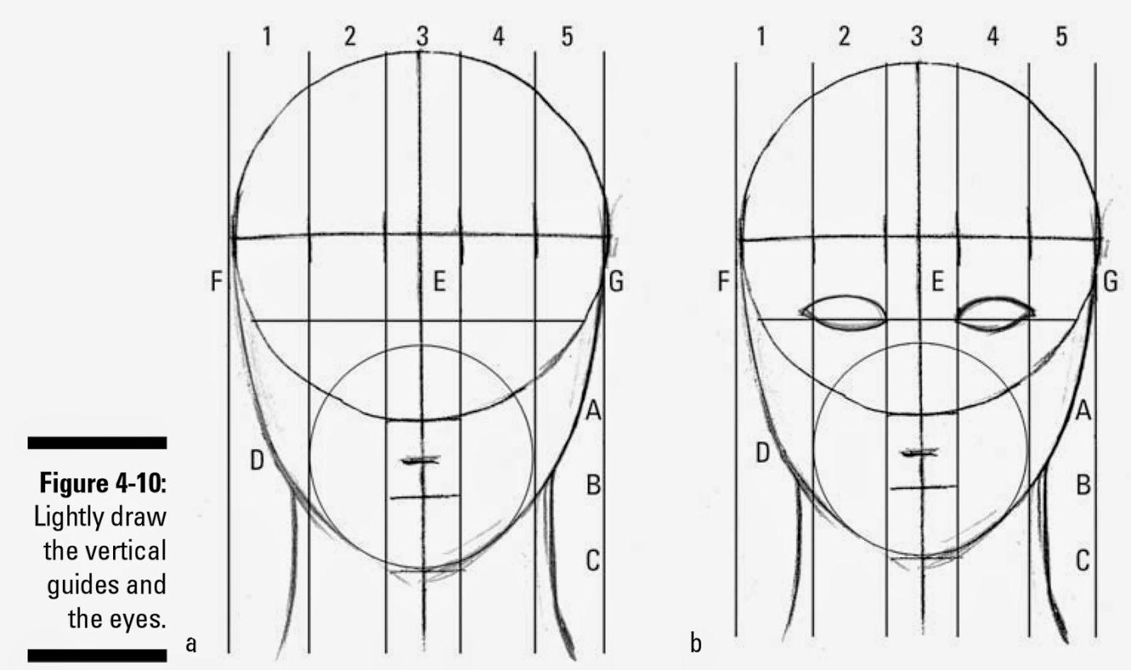Drawings: Parts of the Head