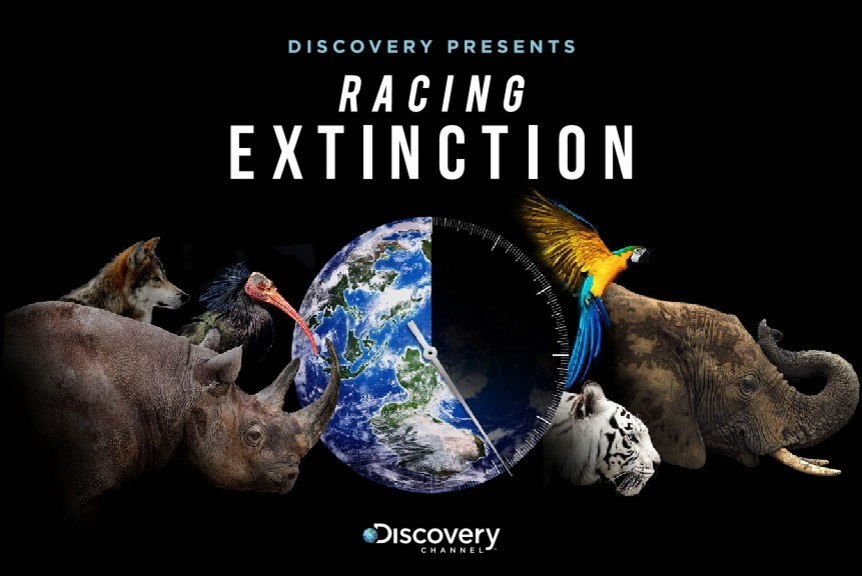 "Racing Extinction" Film Dokumenter Yang Membahas Tentang Kepunahan ...