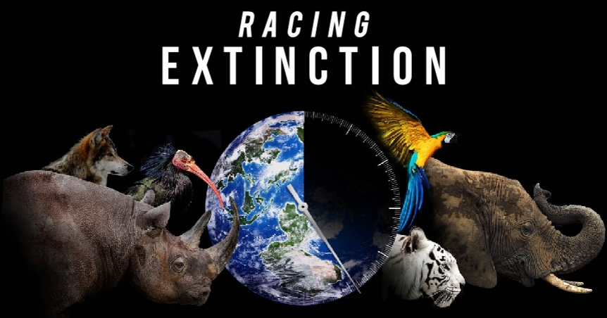 "Racing Extinction" Film Dokumenter Yang Membahas Tentang Kepunahan ...