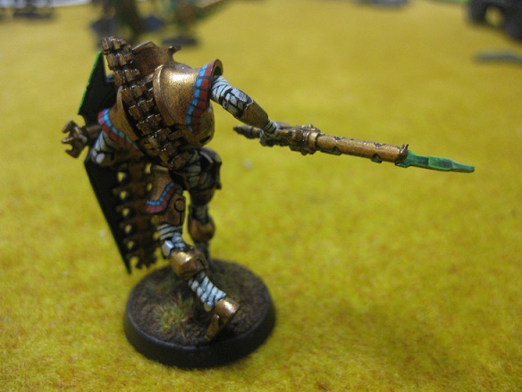 Lord AK's Skullthrone: Lychguard with Dispersion Shield : 3rd of 5