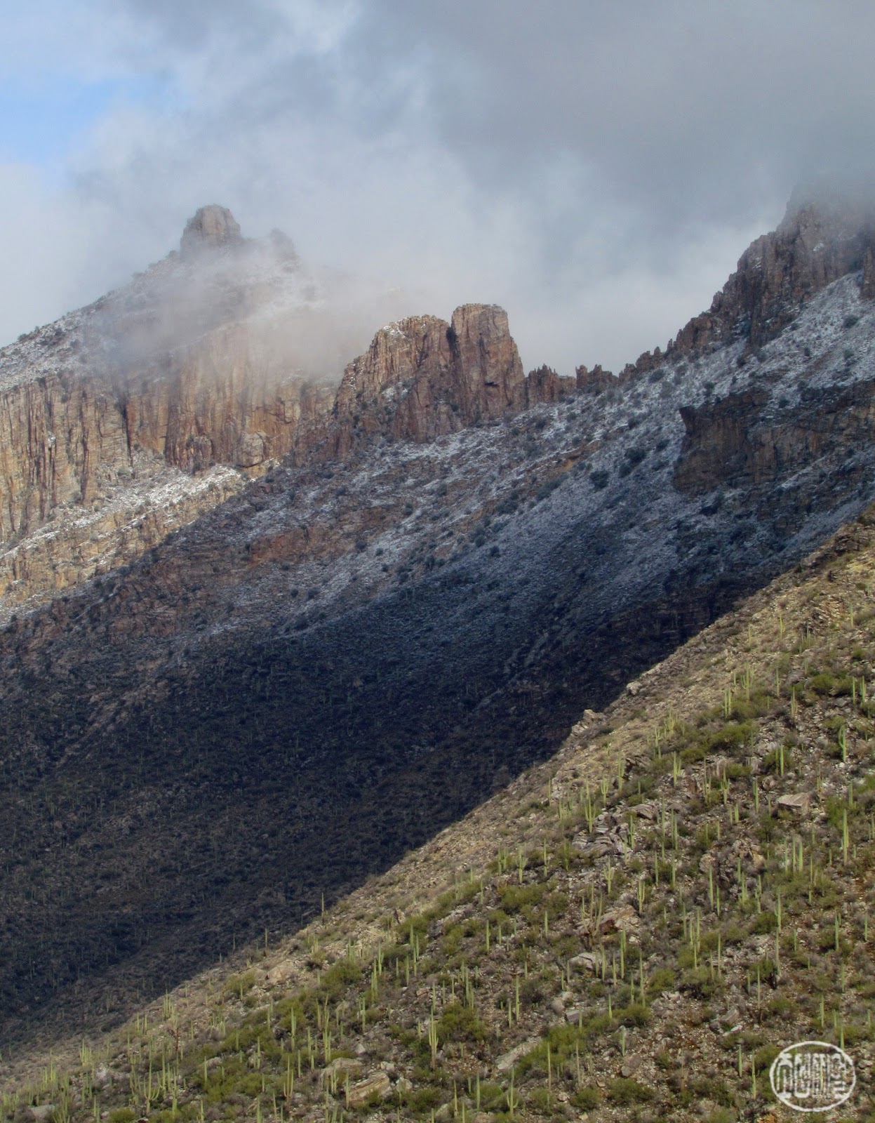 Allophile: Snow! in Tucson!