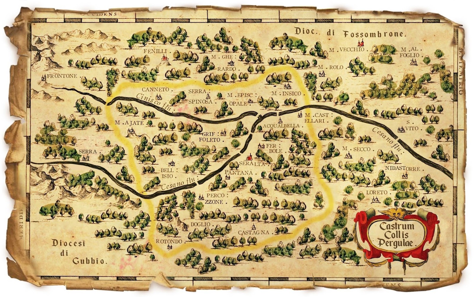 pergolando: Alla fondazione di Pergola