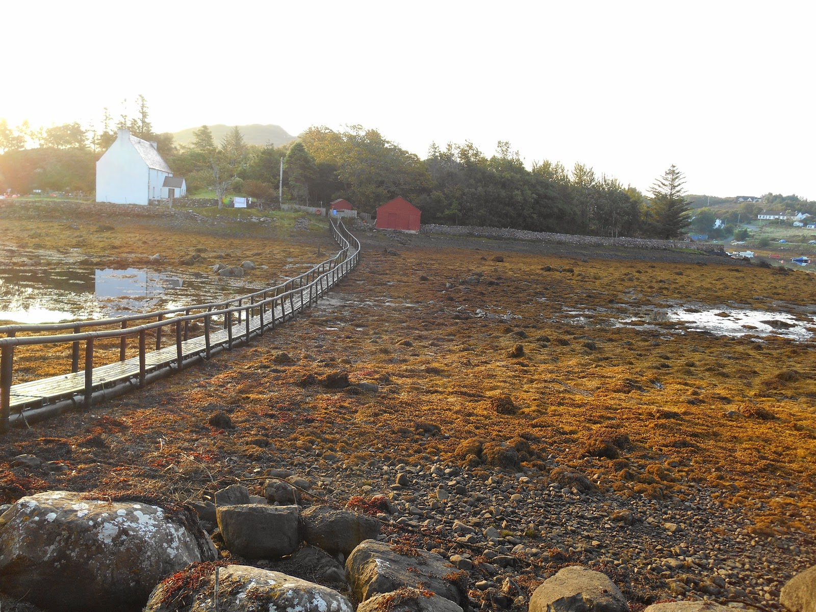 A lifetime of Islands: Eilean Tioram/Dry Island, Badachro, Gairloch ...