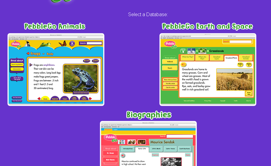 Lifelong Learning for School Librarians: Pebble Go