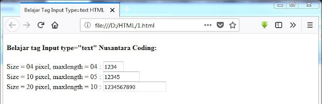 Tutorial Form HTML Part 4: Fungsi dan Cara Penggunaan tag input type ...