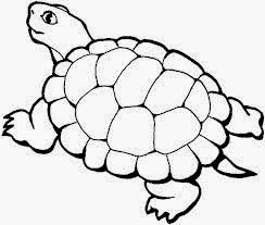 Turtle Coloring pages free for kids - gaa coloring