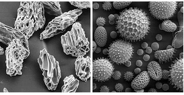 Daily Dose of Air Pollution: Microscopic Beauty of Air Pollution