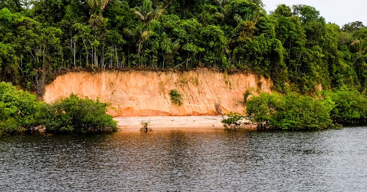 Pamiętniczek z Podróży: Spotkanie dwóch rzek i Amazonka - notatki z ...
