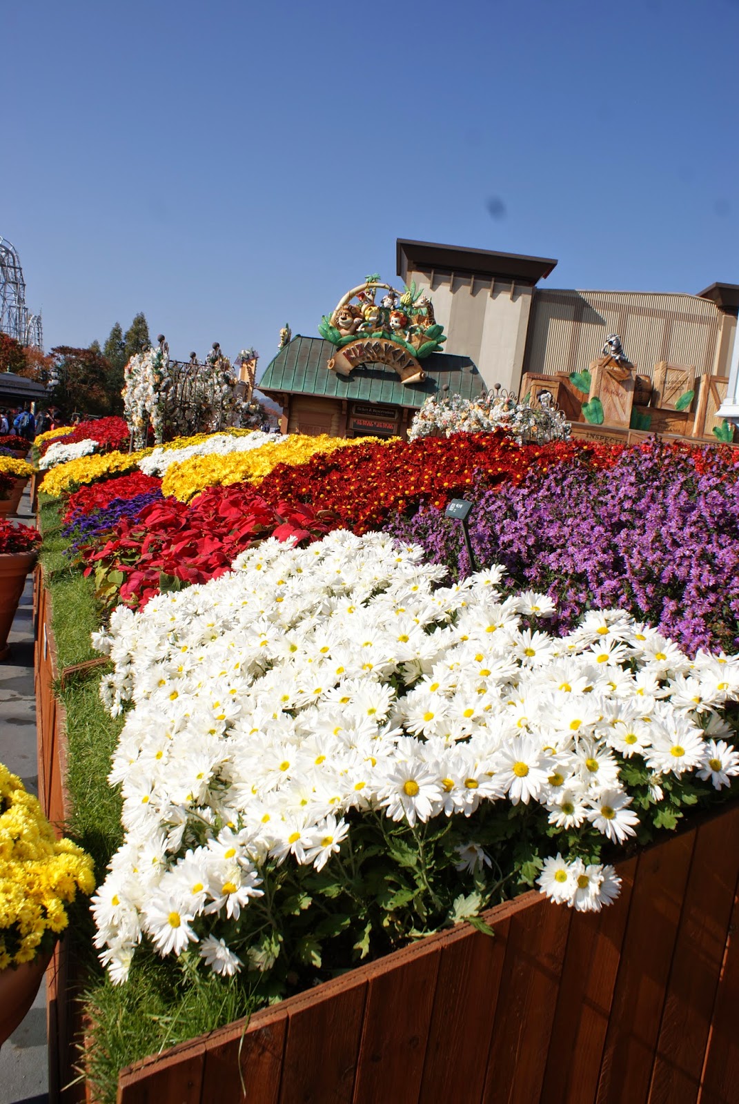 Yauly: Korea-Everland