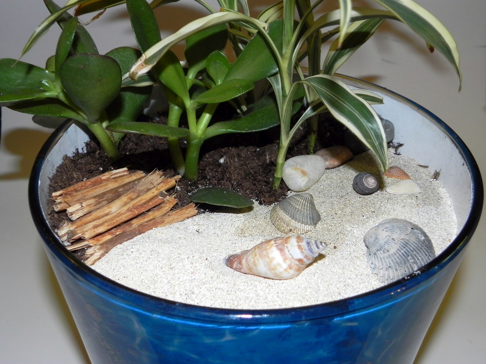Smart n Snazzy: DIY Vignette ~ Beach Terrarium, Storage Tray, and ...