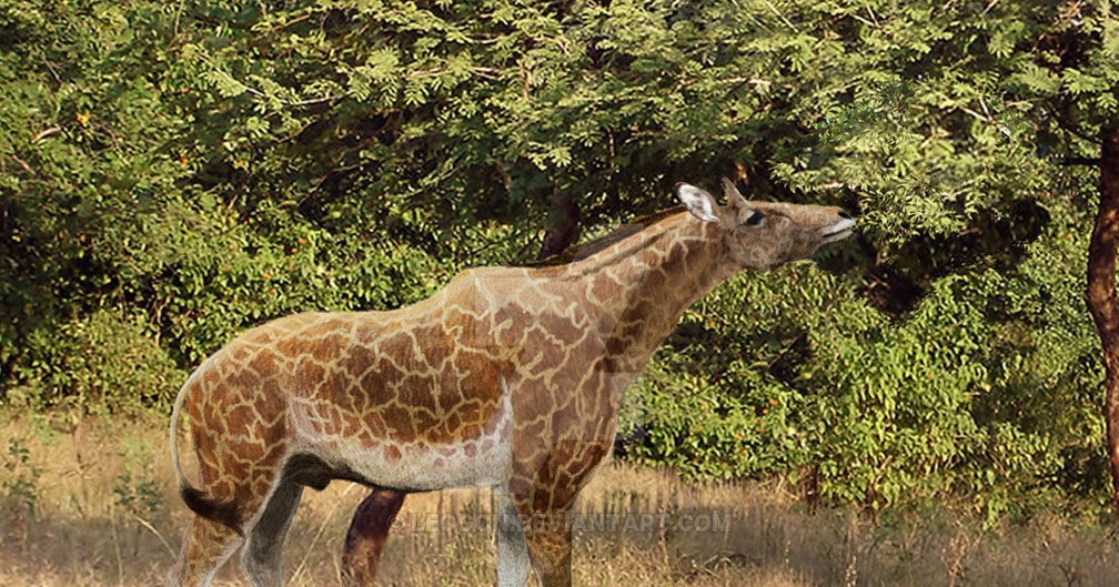 Escenarios prehistóricos: Samotherium