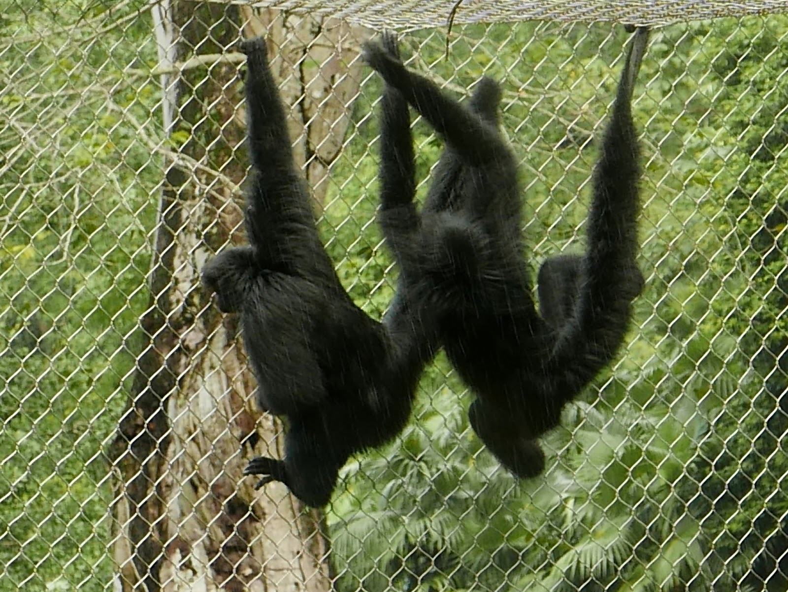 A bord de THIRA: Du samedi 10 décembre au mercredi 14 décembre 2016 ...