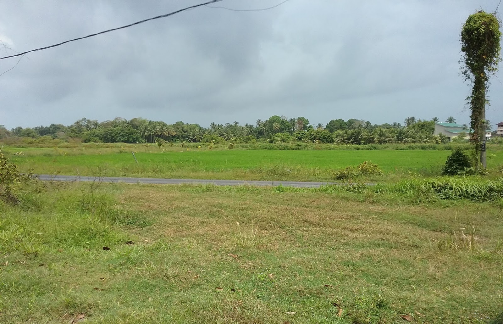 Pondok Rahmat: LANGIT KENAPA BERWARNA BIRU