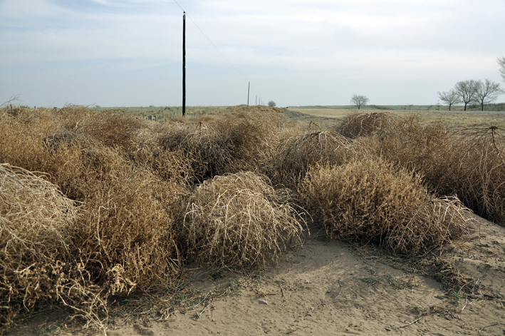 Marie Oudot Fotografías: Paysages 2010/Paisajes 2010