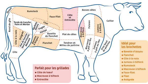 Muchacho ( corte de carne Colombia) | WordReference Forums