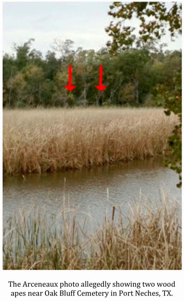 Texas Cryptid Hunter: The Port Neches Wood Ape Sighting Revisited