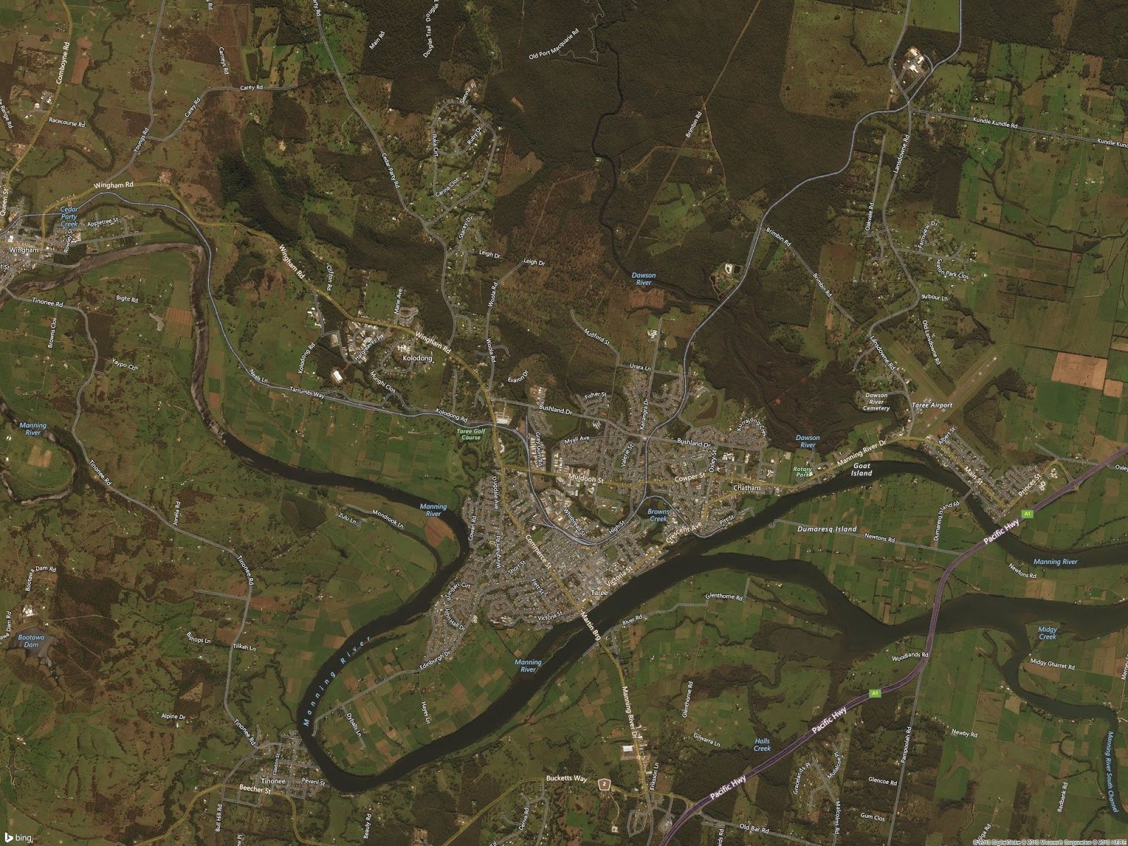 Taree Map Free Download