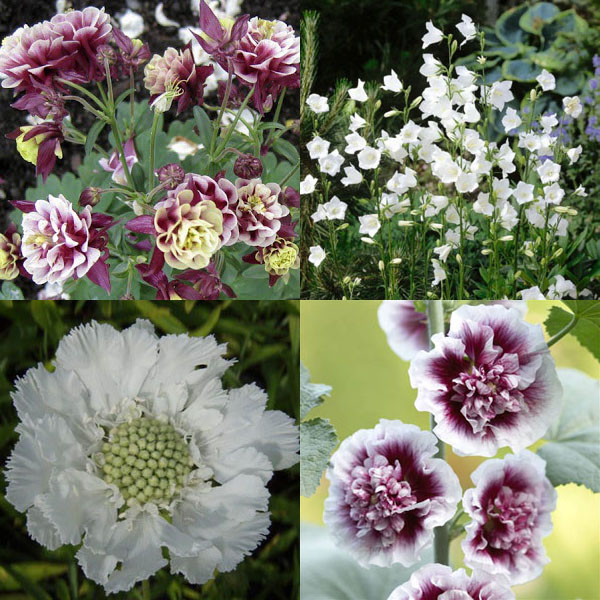 Med händerna i jorden & gamla ting på borden: Färg & Form