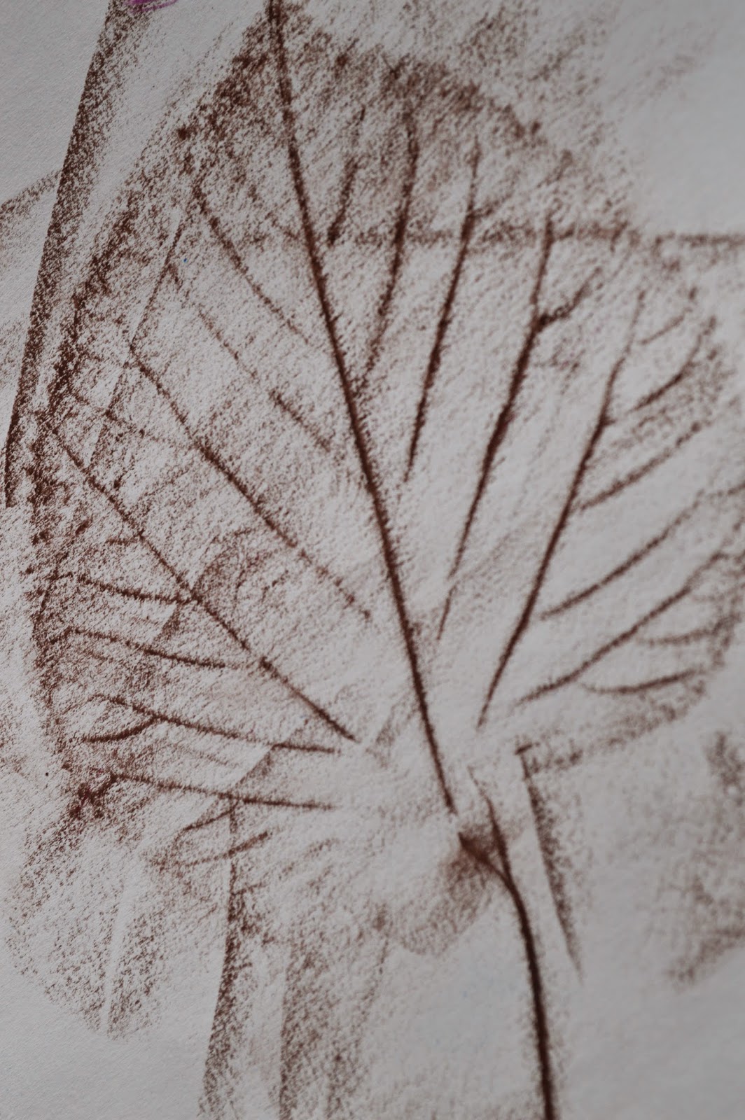 Activitati practice cu frunze: desenam prin hasurare - CAIETUL CU IDEI