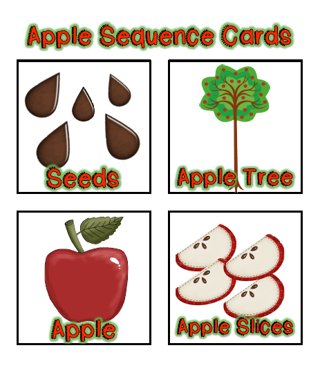 Back-To-School Bundle