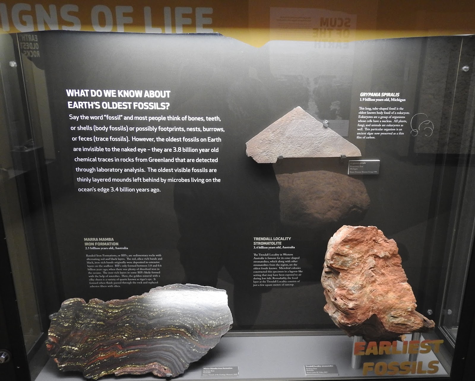 BONE ROOMS: University of Wisconsin Geology Museum