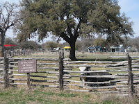 Tarra's Travels: LBJ Library & Museum & Johnson City