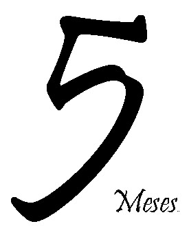 Imágenes de 5 meses - Imagui