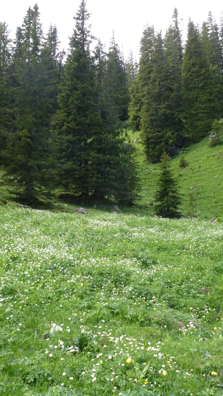 Wandern-2.0: Juni 2013
