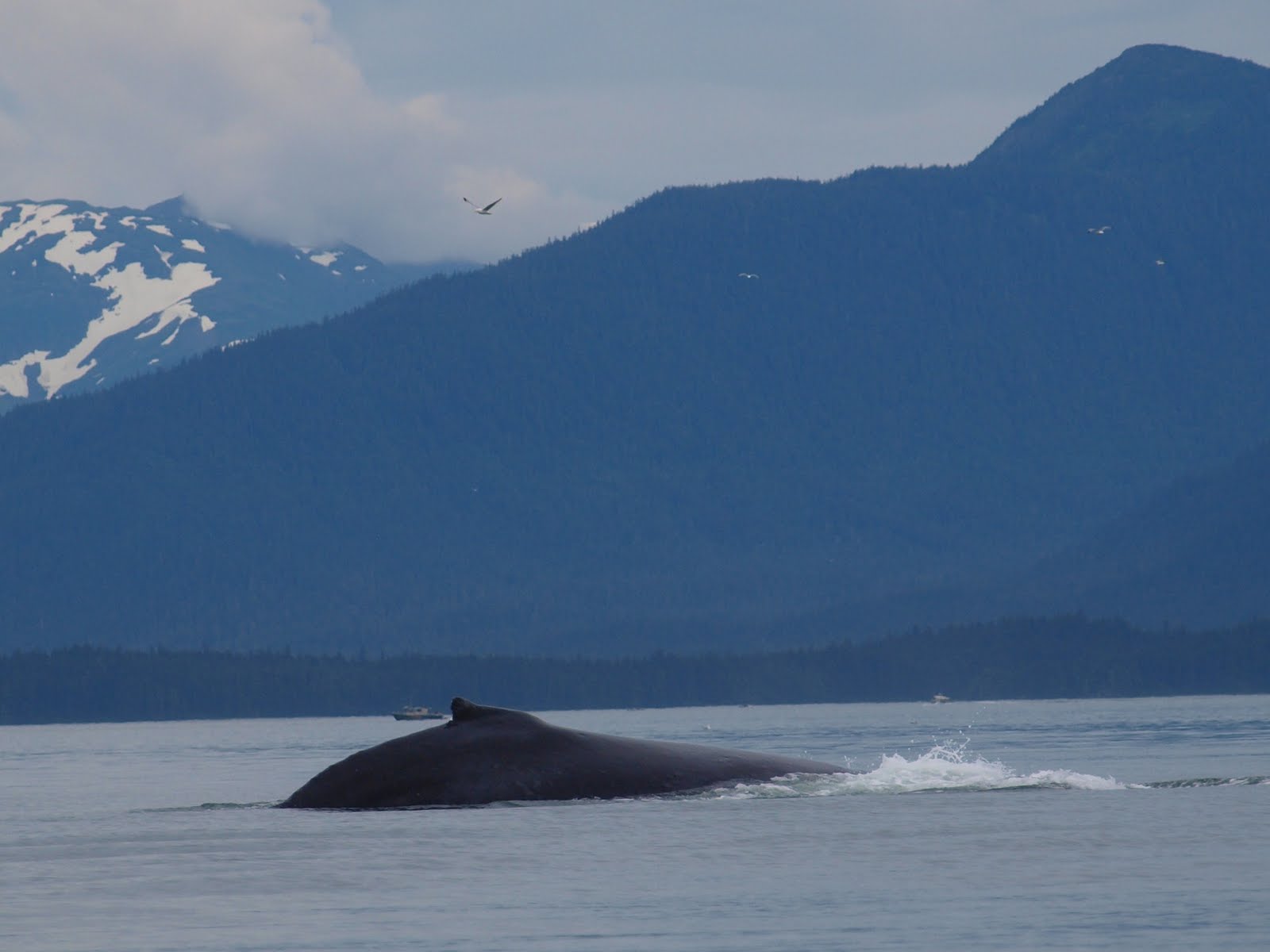 Lucky Alaska: 16. Juli