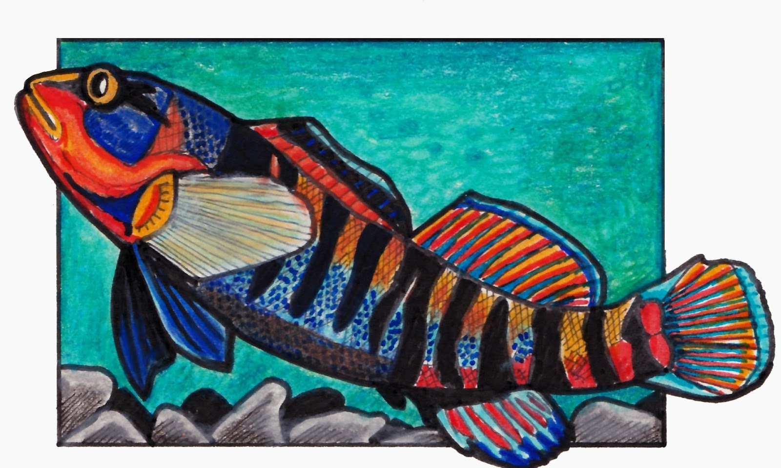 ZooTrophy Animal-a-Day Database: January 2016