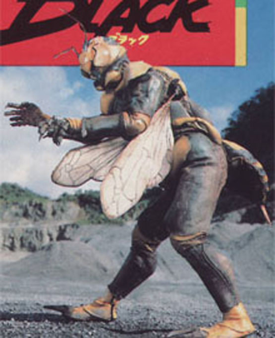 KAMEN RIDER BLACK (Gorgom & Crisis Empire)