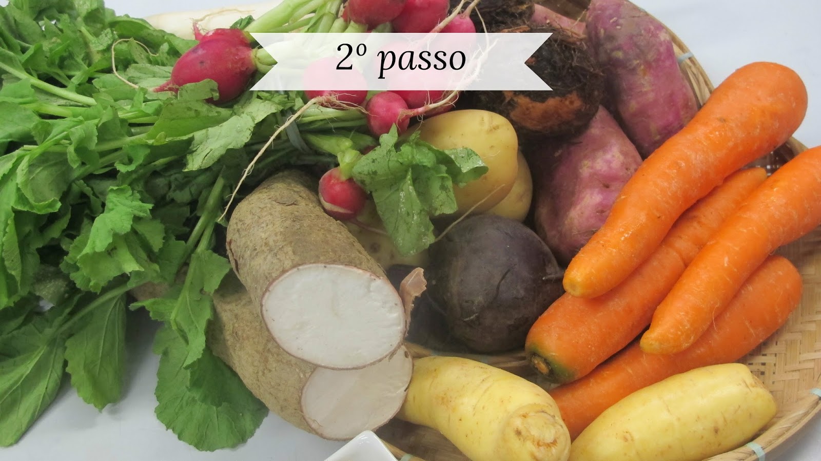 Alimentos Que São Raizes - ZULEDU