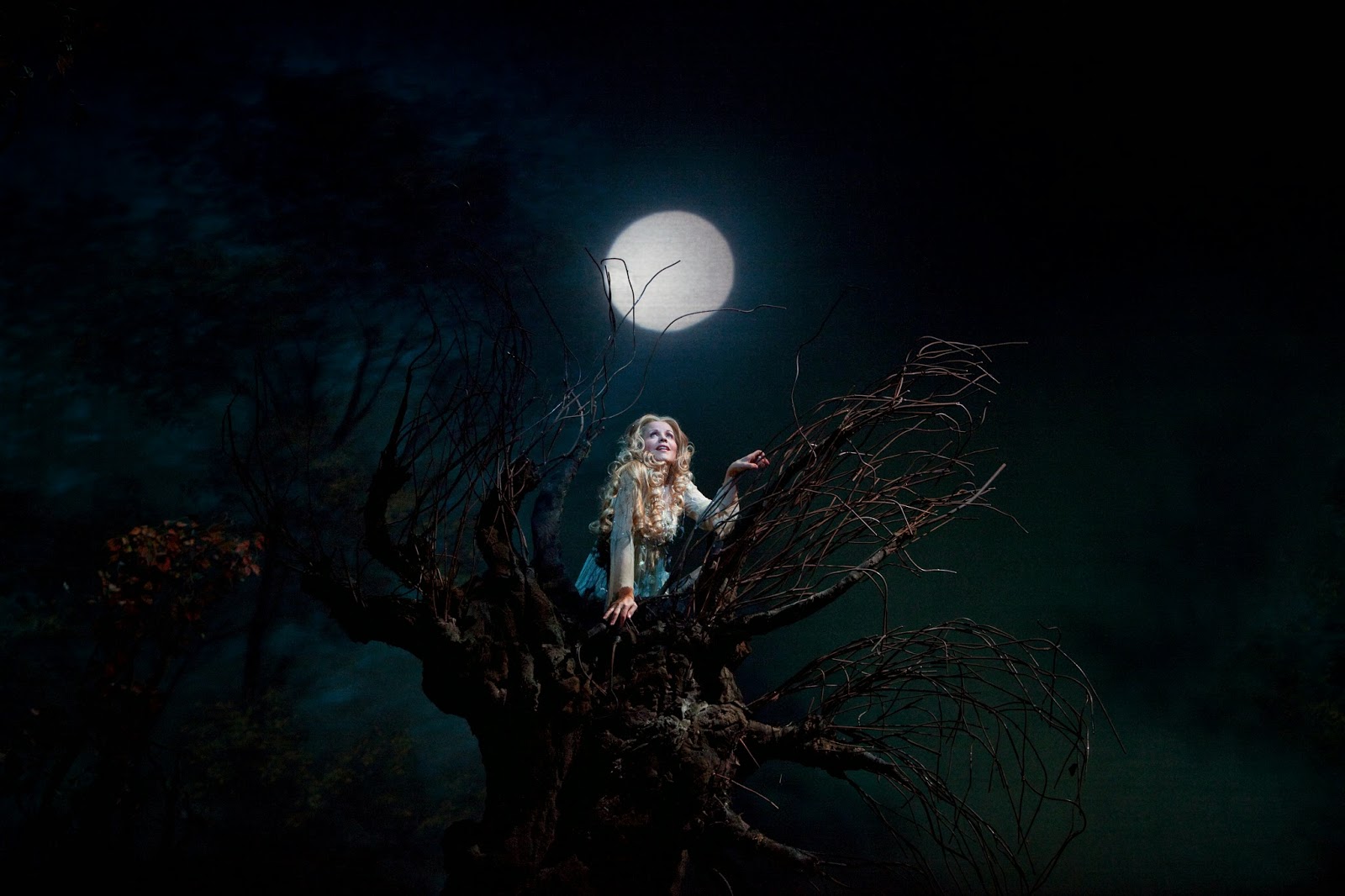 Opera lirica: Dvorak - Rusalka, Met 2014