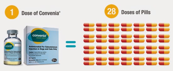 DOUTOR DOG - Clínica Veterinária & Pet Shop: VOCÊ CONHECE CONVENIA?