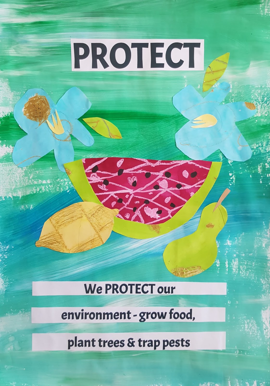 Sunnyhills School Environmental Blog: Our Care Code - Presented by Room 14