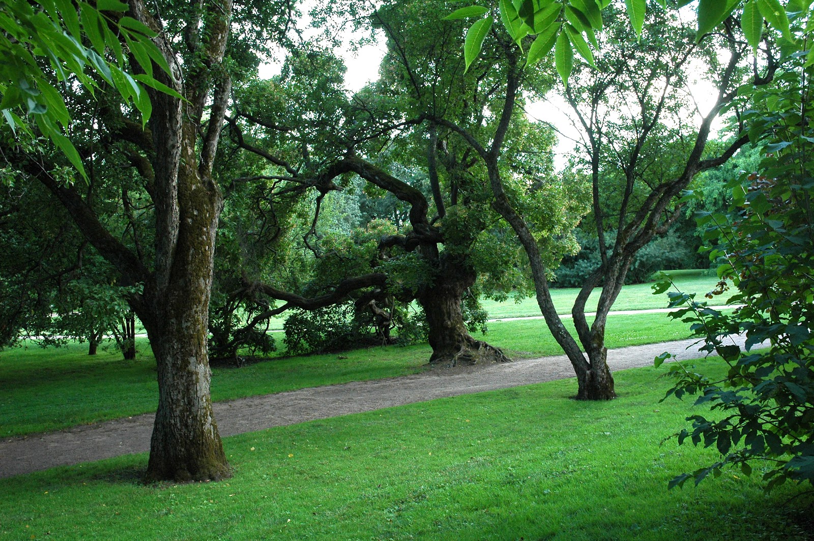 Østkantliv: Botanisk hage: Det nye Veksthuset