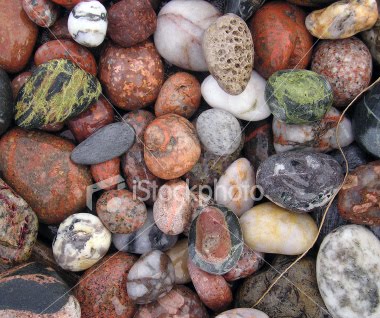 Ms. Tucker's Class: Rock Collections