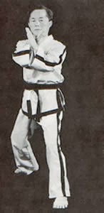 TAEKWON-DO ITF KGM MOTRIL: BIOGRAFÍA GENERAL CHOI