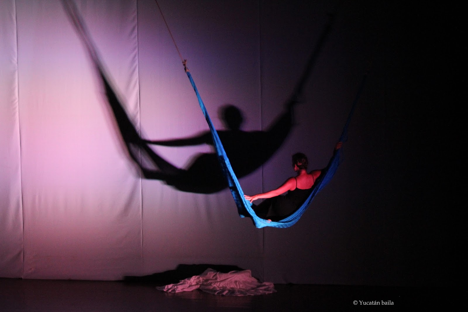 Tania Lavín, una vida “entre dos tierras”